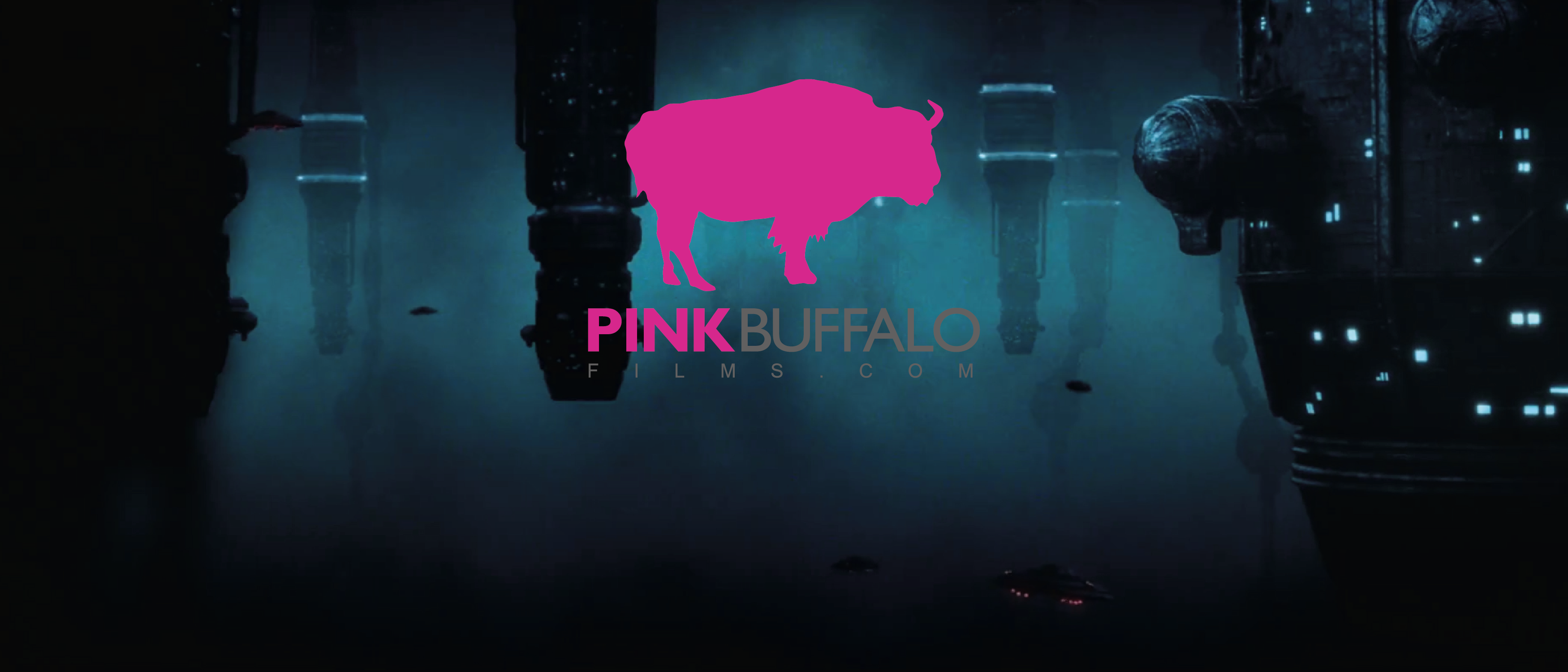 Pink Buffalo Films : Award-Winning Storytelling on a Global Stage