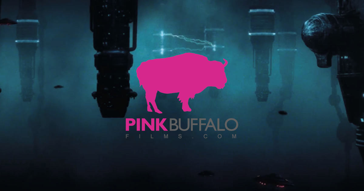 Pink Buffalo Films : Award-Winning Storytelling on a Global Stage